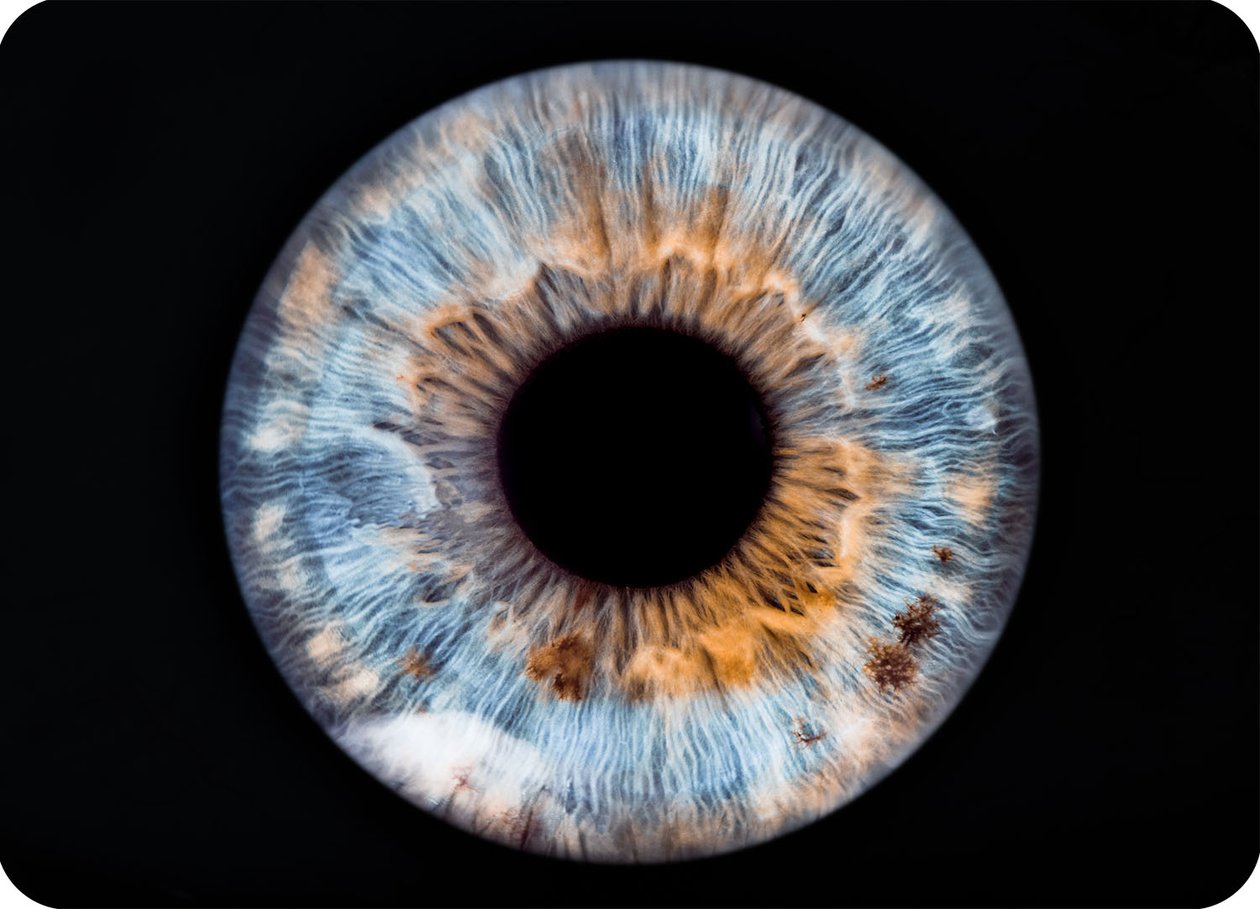 Iris recognition vs retina scanning